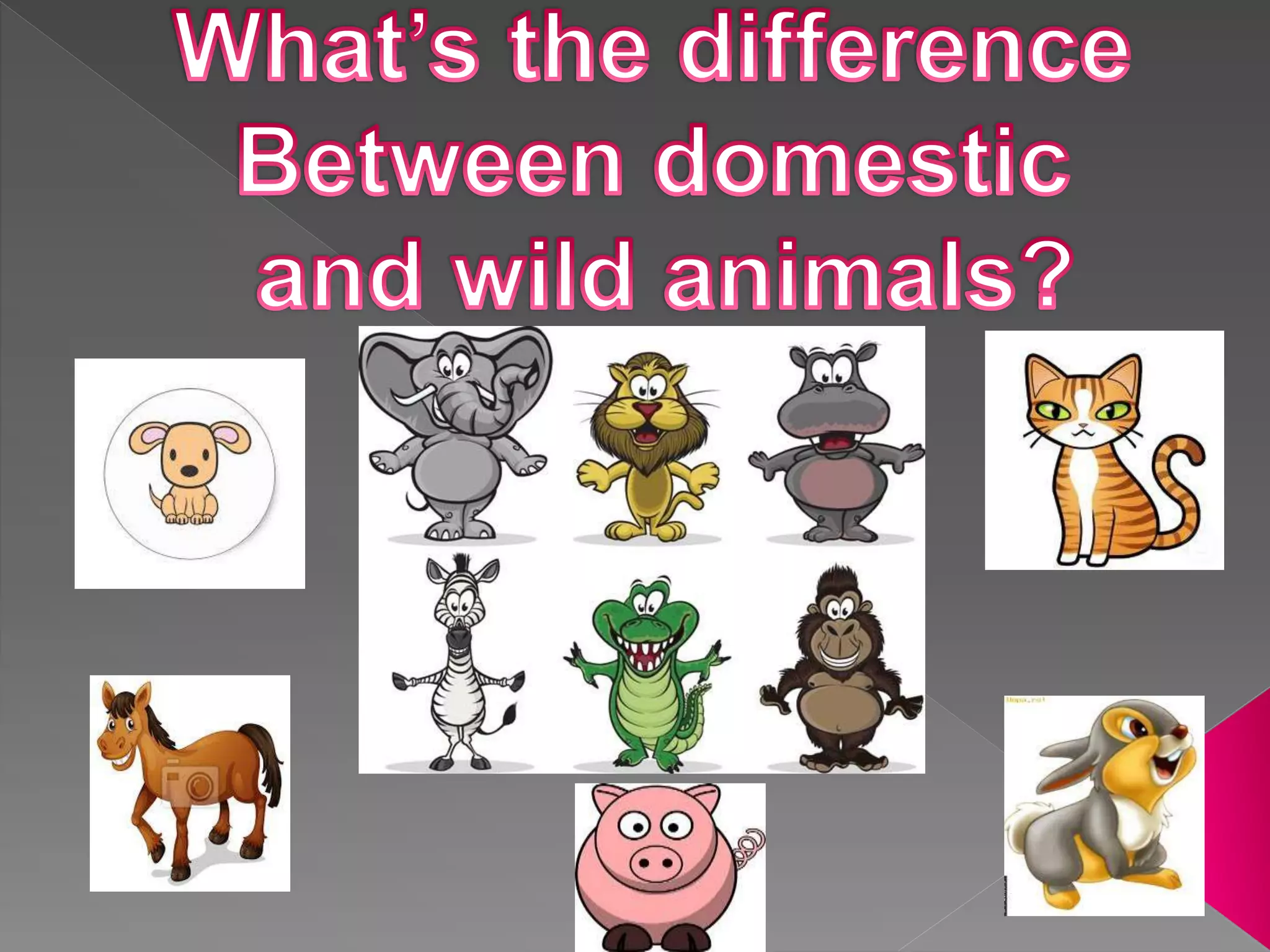 Domestic and wild animals | PPTX