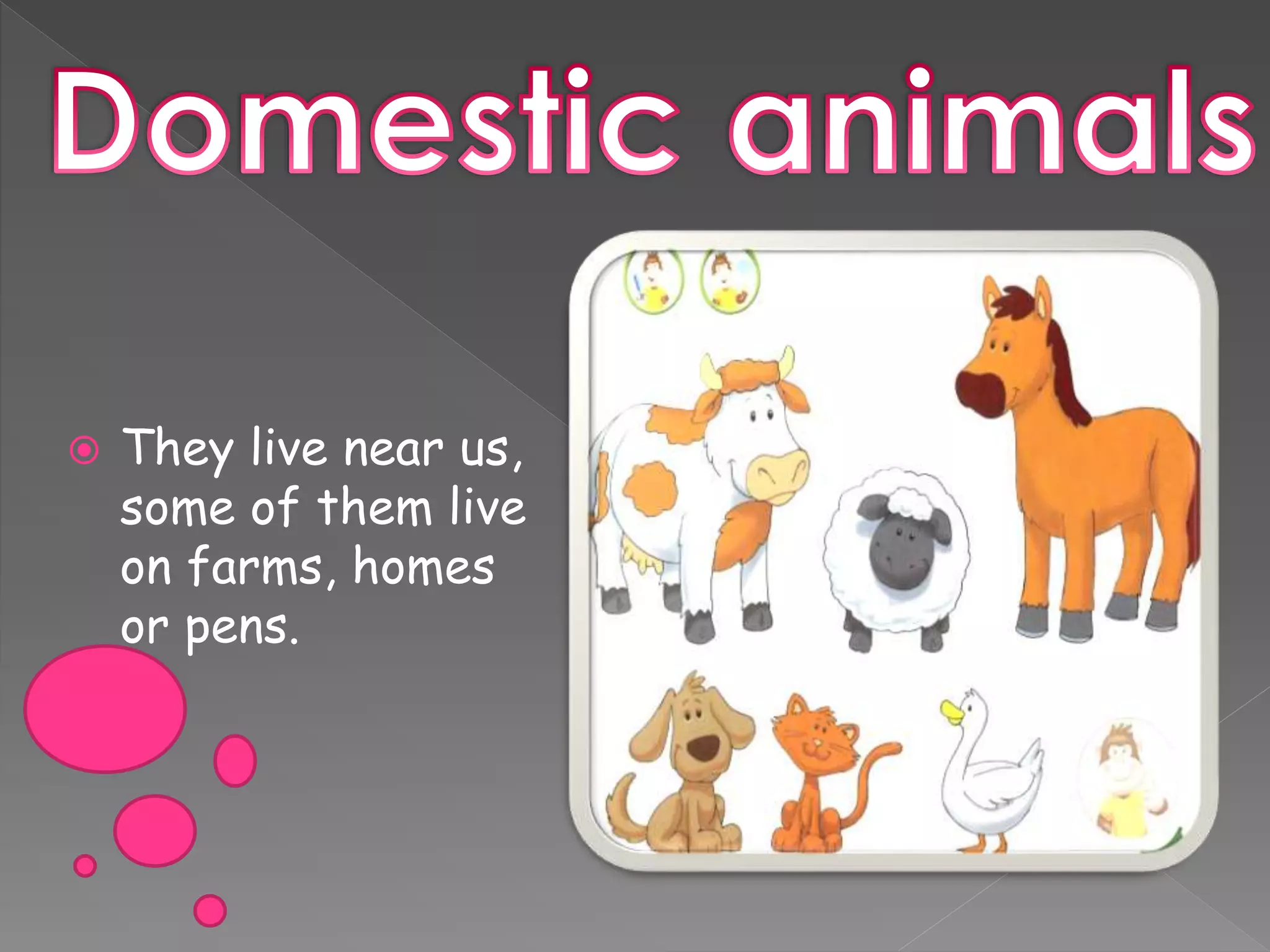 Domestic and wild animals | PPTX