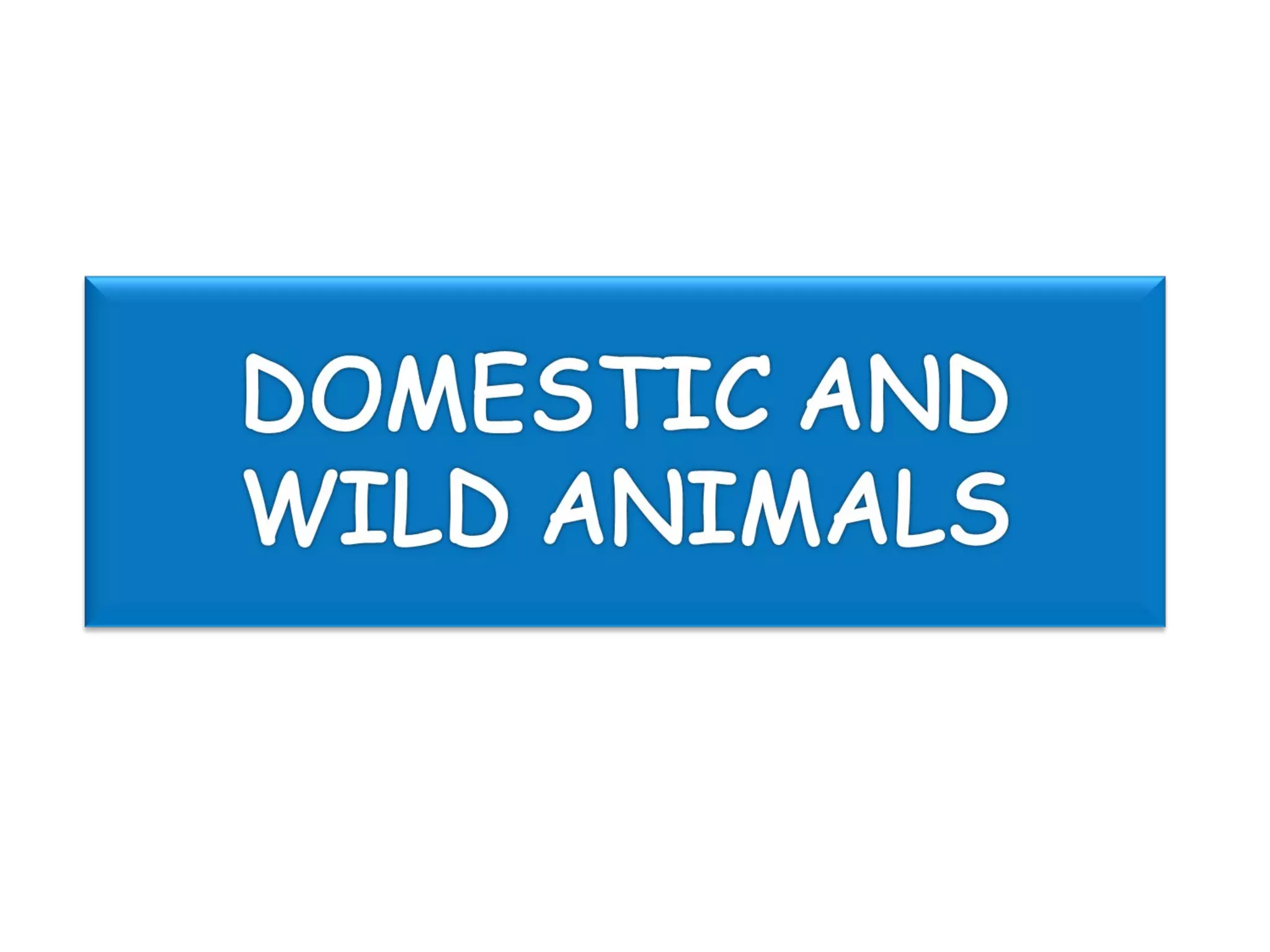 Domestic and wild animals | PPT