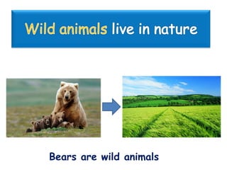 Domestic and wild animals | PPT