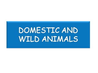 Domestic and wild animals | PPT