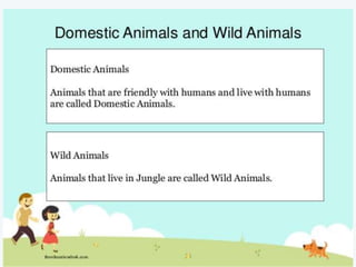 Domestic animals | PPTX