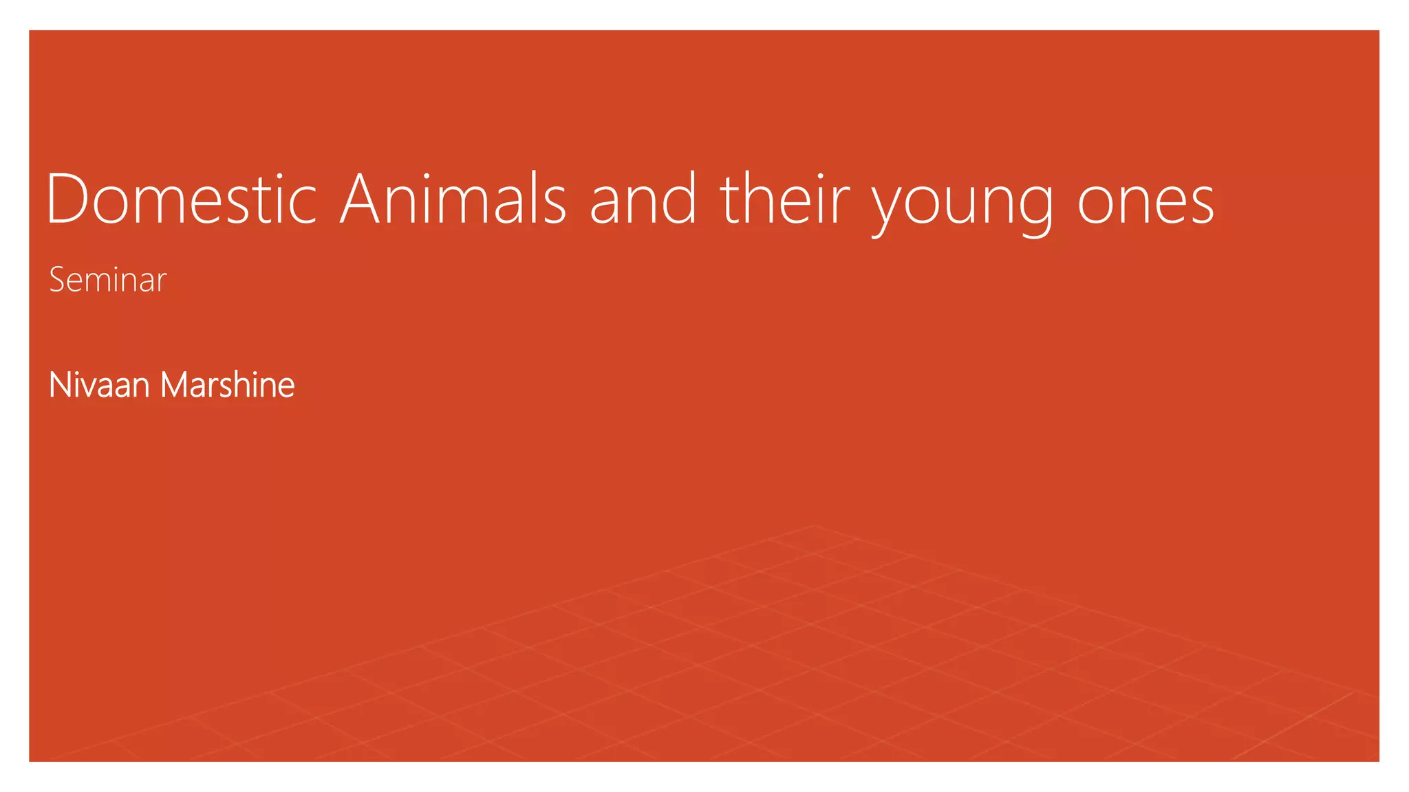 Domestic Animals and their young ones.pptx