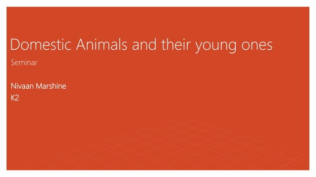 Domestic Animals and their young ones.pptx