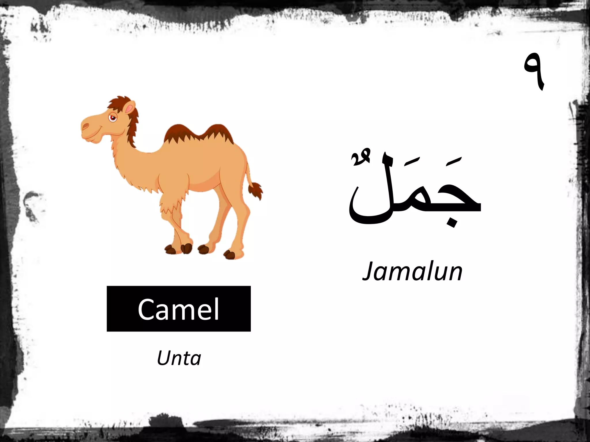 BAHASA ARAB - Haiwan Peliharaan (Domestic Animals) | PDF