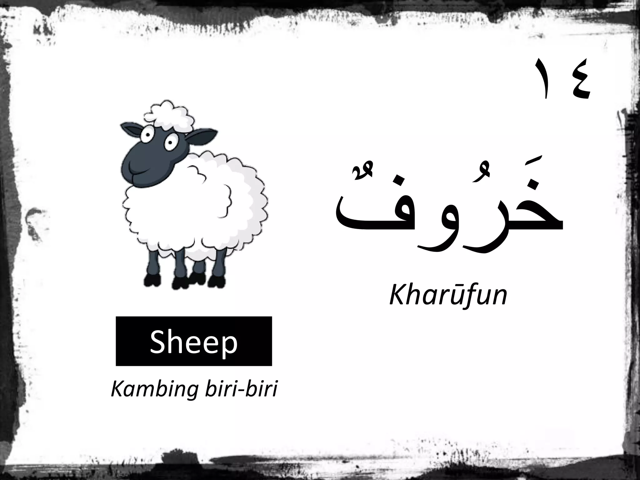 BAHASA ARAB - Haiwan Peliharaan (Domestic Animals) | PDF