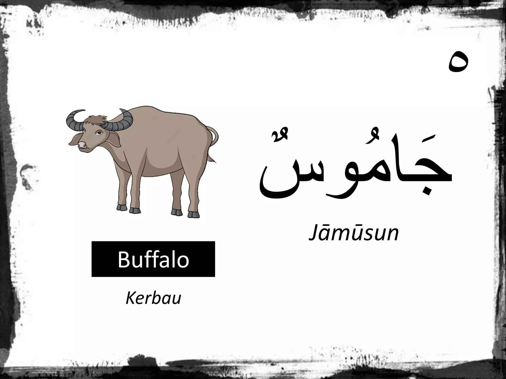 BAHASA ARAB - Haiwan Peliharaan (Domestic Animals) | PDF