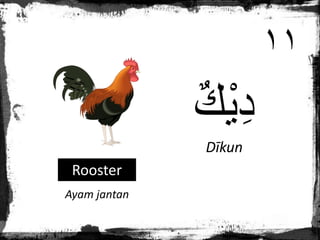 BAHASA ARAB - Haiwan Peliharaan (Domestic Animals) | PDF
