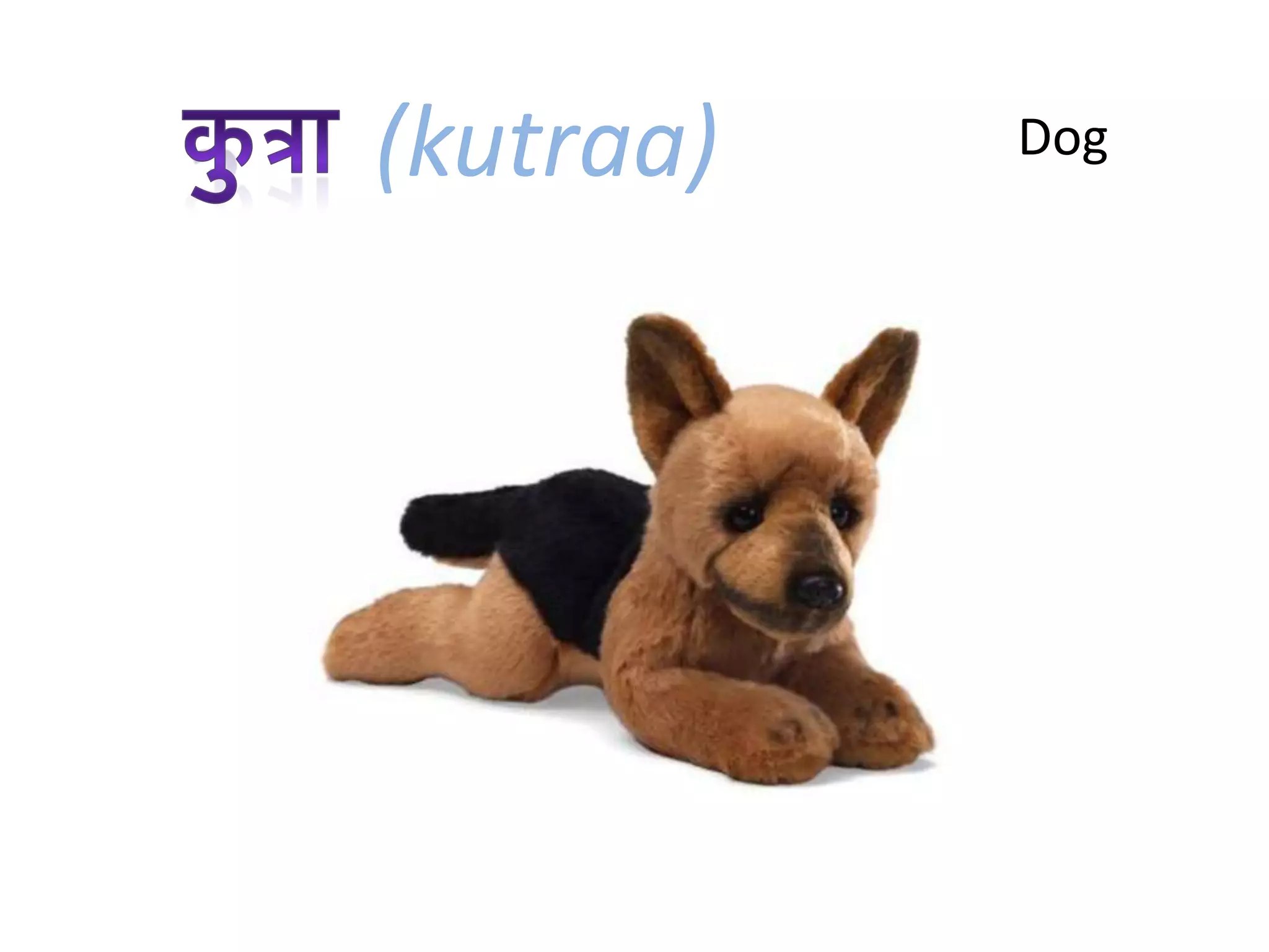 Domestic animals in marathi | PPTX