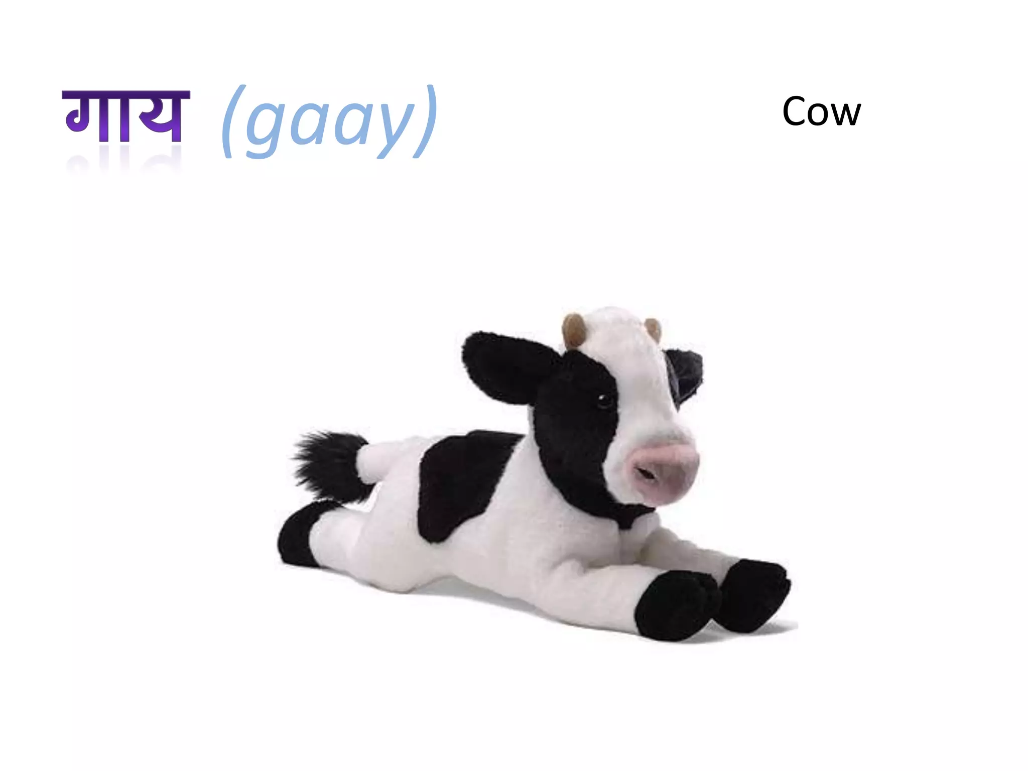 Domestic animals in marathi | PPTX