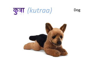 Domestic animals in marathi | PPTX