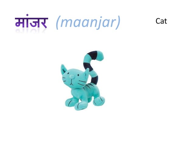 Domestic animals in marathi | PPTX