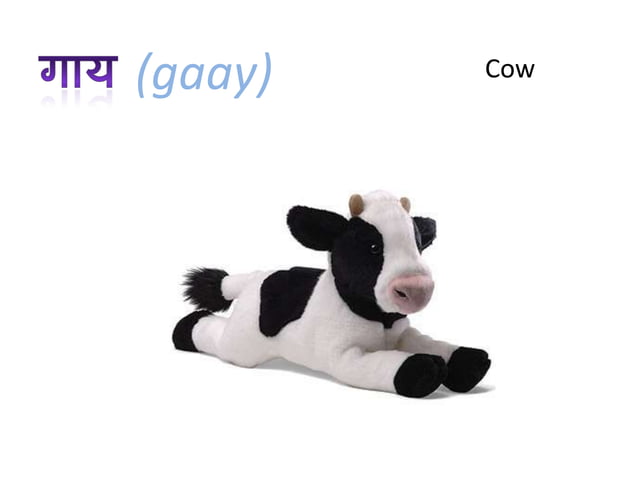 Domestic animals in marathi | PPTX