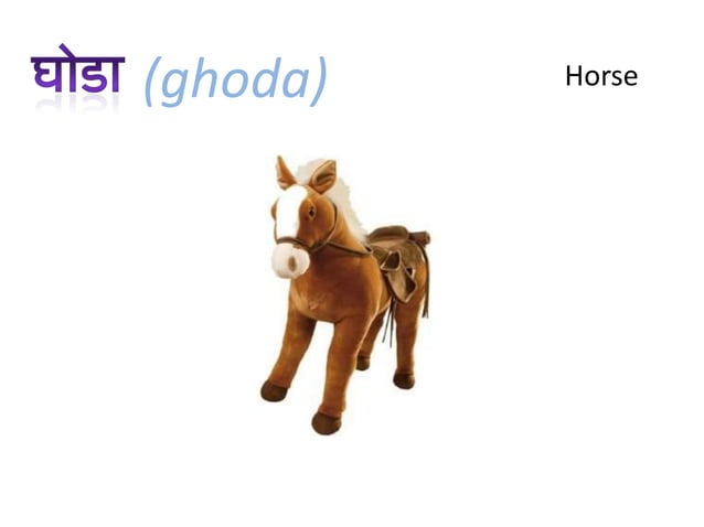 Domestic animals in marathi | PPTX