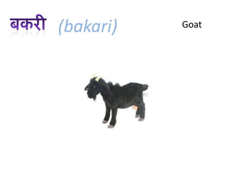 Domestic animals in marathi | PPTX