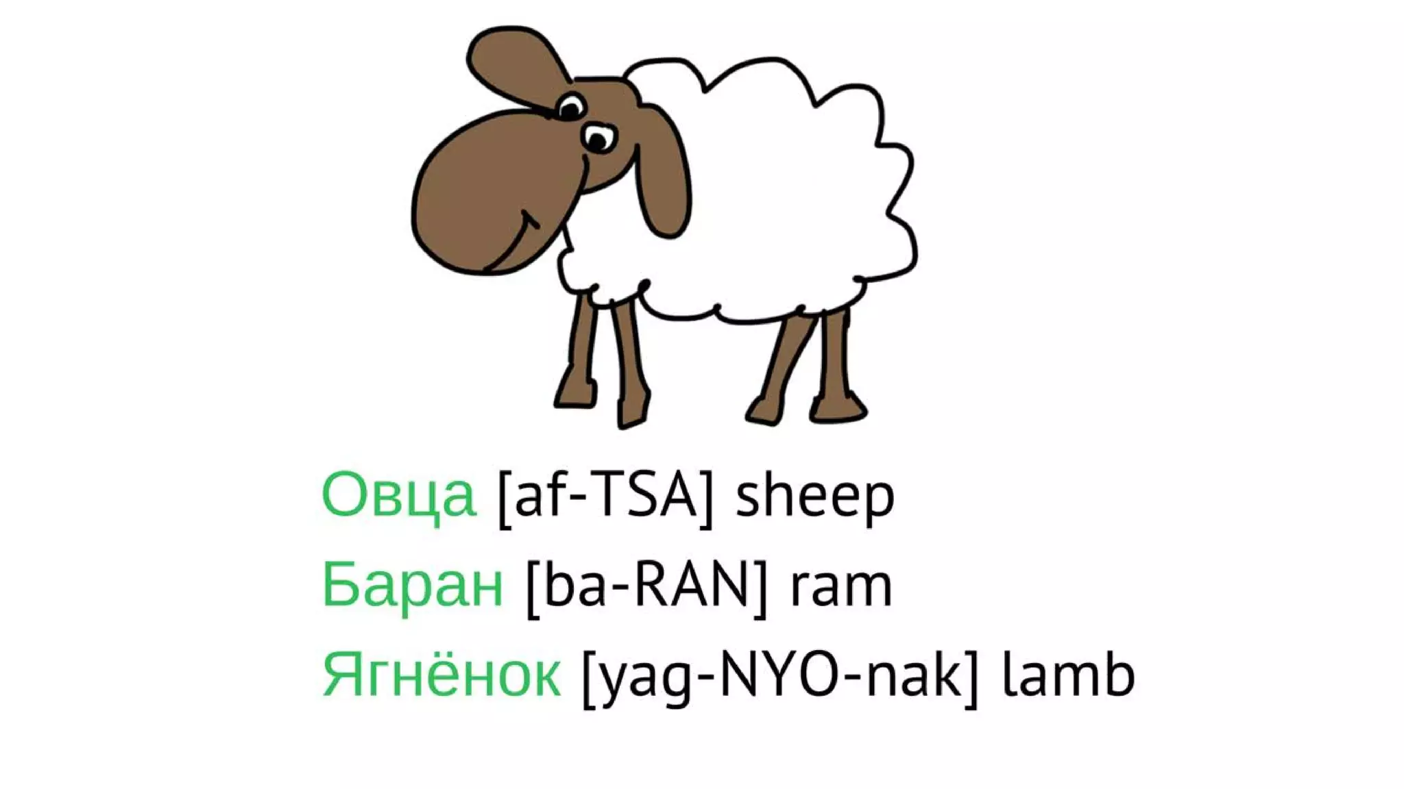 Learn Russian: Farm Animals | PDF | Birds | Pets