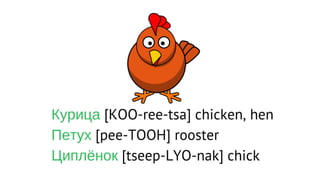 Learn Russian: Farm Animals | PDF | Birds | Pets