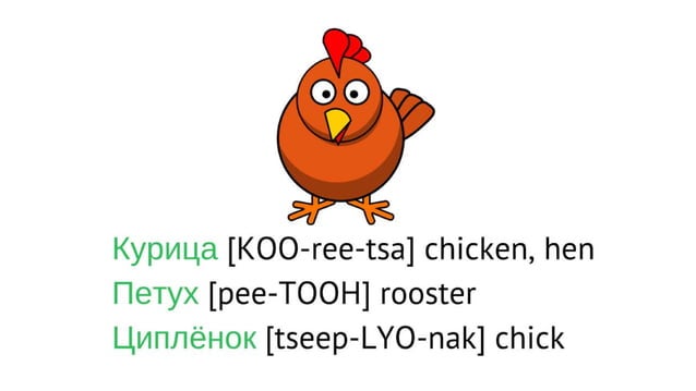 Learn Russian: Farm Animals | PDF | Birds | Pets