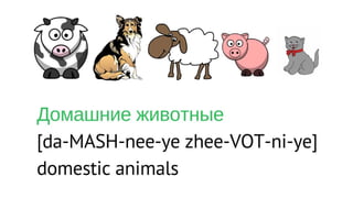 Learn Russian: Farm Animals | PDF | Birds | Pets