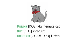 Learn Russian: Farm Animals | PDF | Birds | Pets