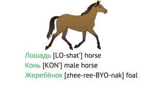 Learn Russian: Farm Animals | PDF | Birds | Pets