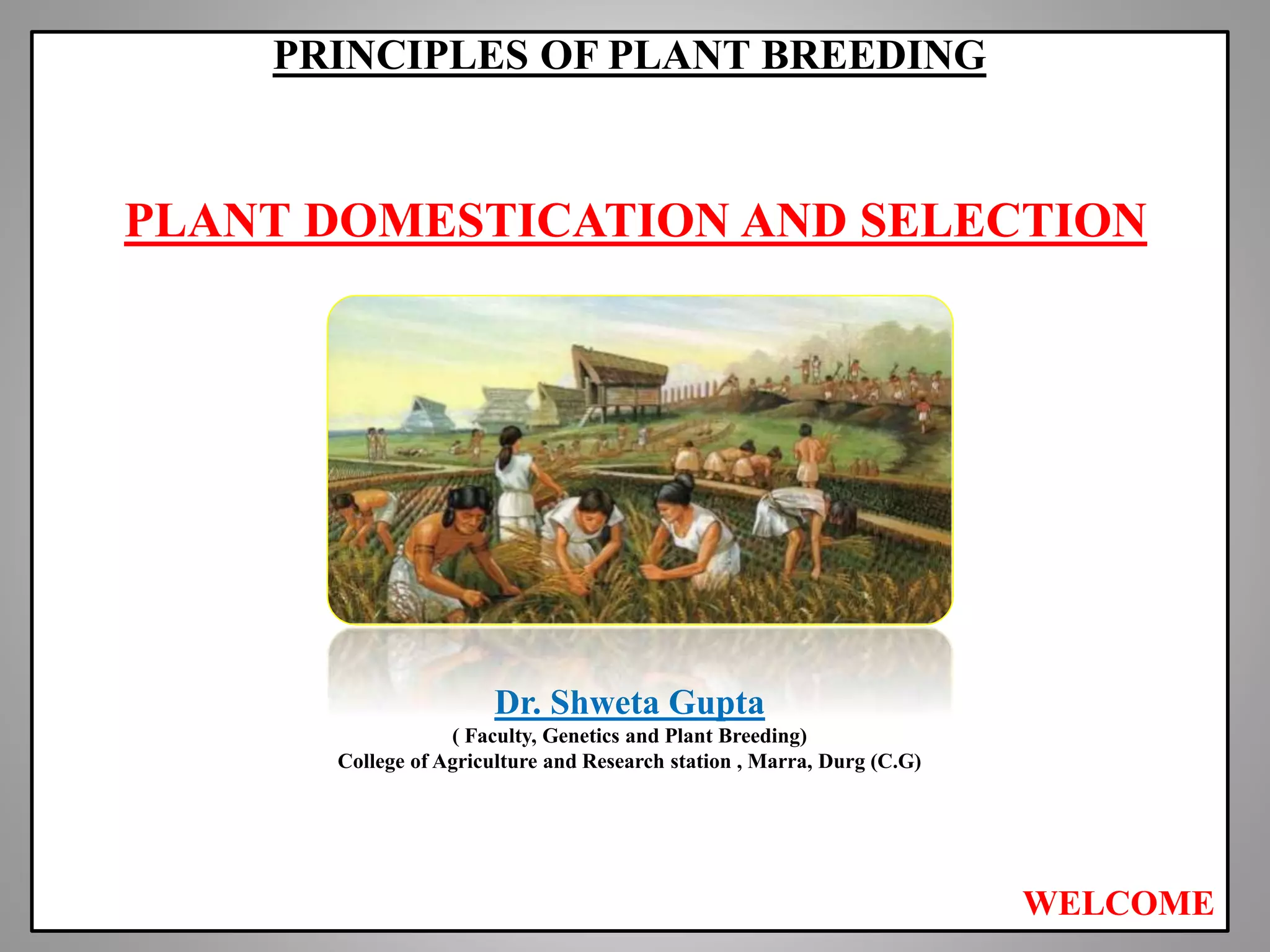 Plant Domestication and selection in plant breeding | PPTX