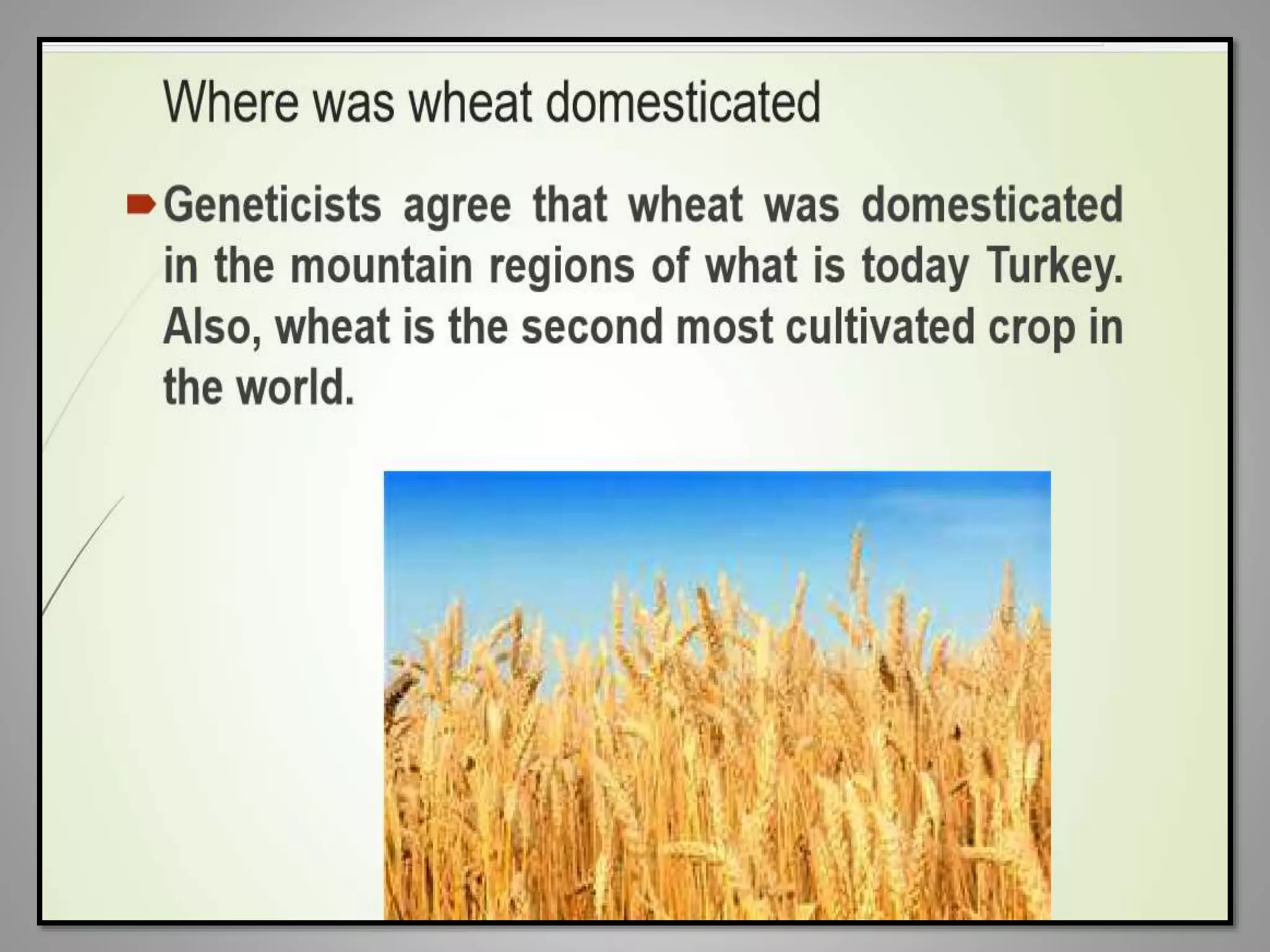 Plant Domestication and selection in plant breeding | PPTX