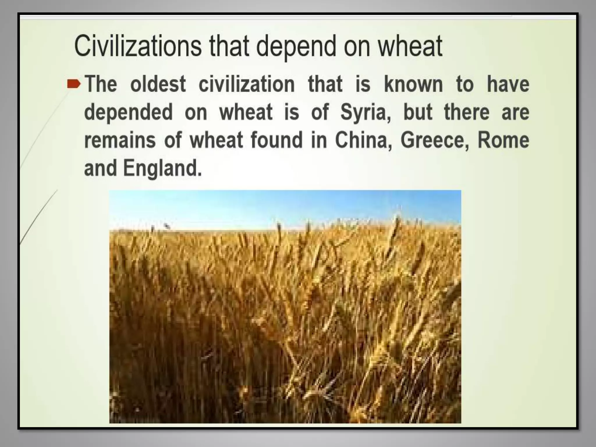 Plant Domestication and selection in plant breeding | PPTX