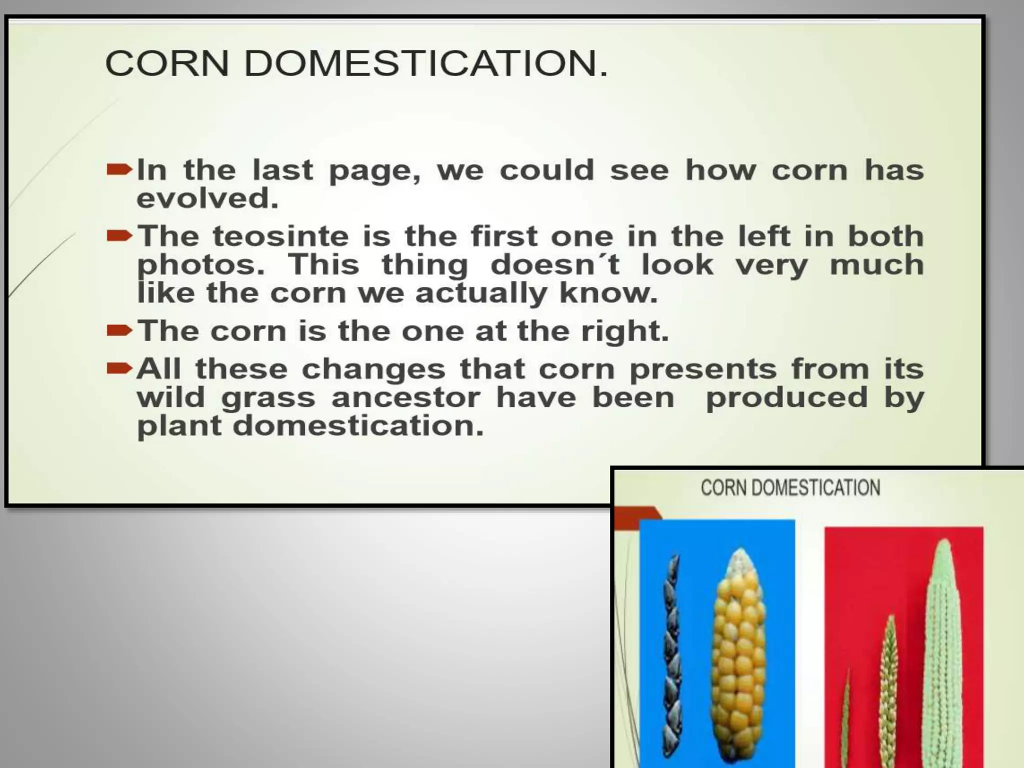 Plant Domestication and selection in plant breeding | PPTX