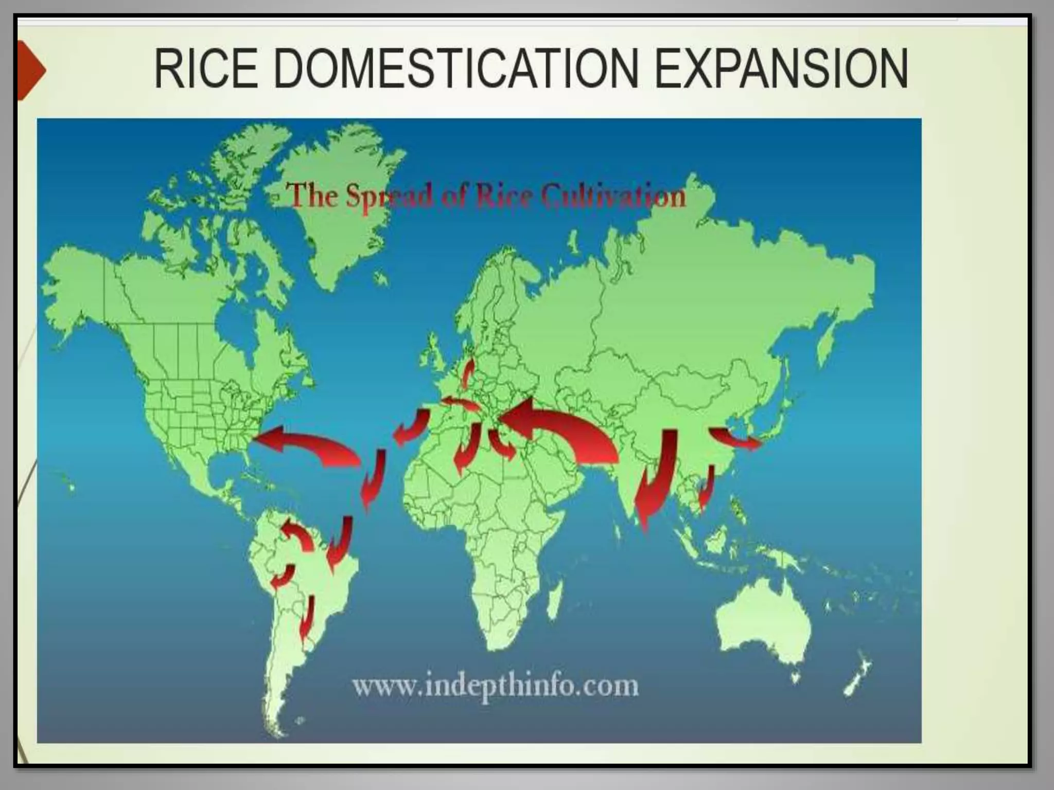 Plant Domestication and selection in plant breeding | PPTX