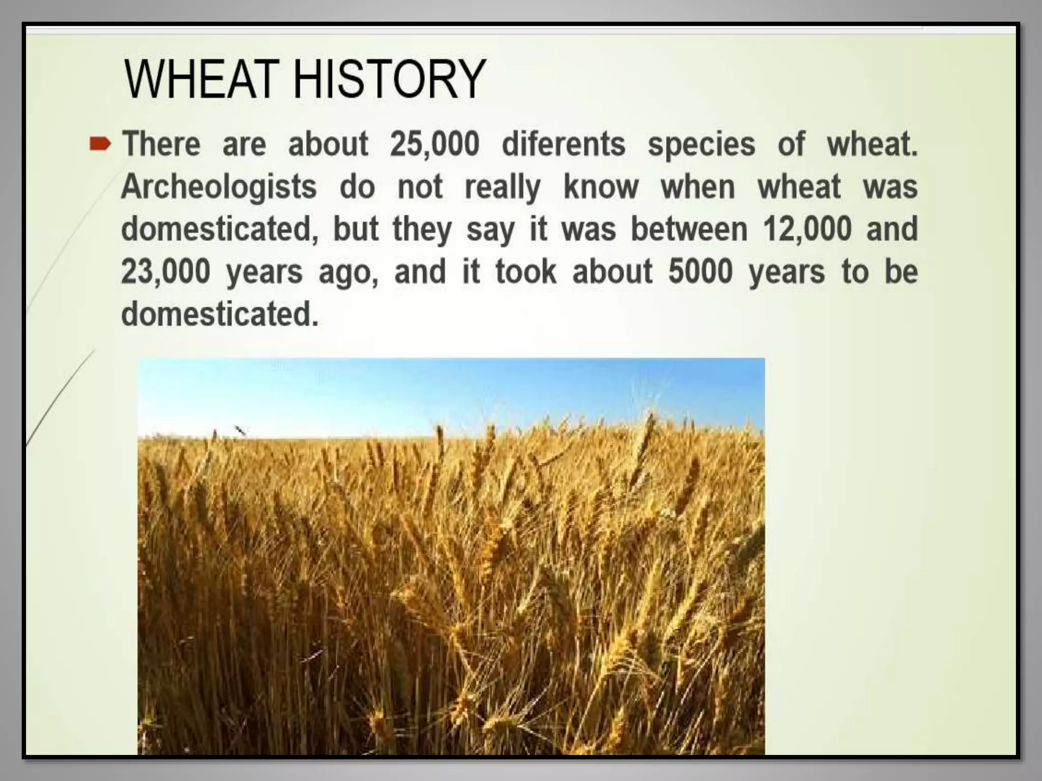 Plant Domestication and selection in plant breeding | PPTX