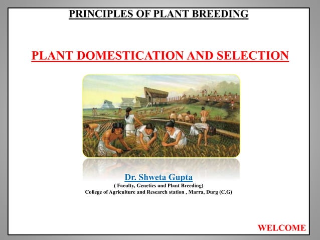 Plant Domestication and selection in plant breeding | PPT