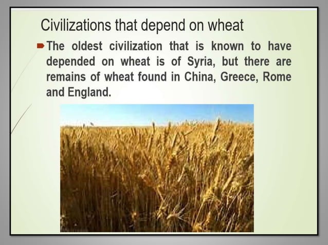 Plant Domestication and selection in plant breeding | PPTX | Gardening ...