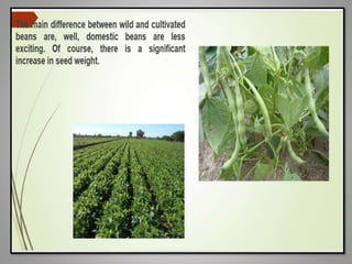 Plant Domestication and selection in plant breeding | PPTX