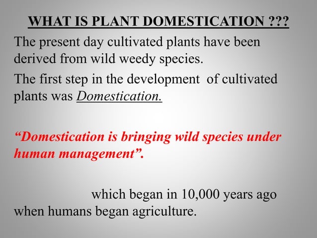 Plant Domestication and selection in plant breeding | PPTX | Gardening ...