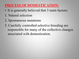 Plant Domestication and selection in plant breeding | PPTX