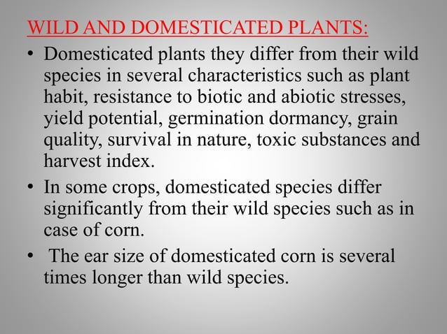 Plant Domestication and selection in plant breeding | PPTX | Gardening ...