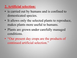 Plant Domestication and selection in plant breeding | PPTX