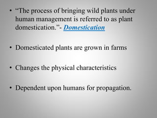 Plant Domestication and selection in plant breeding | PPTX