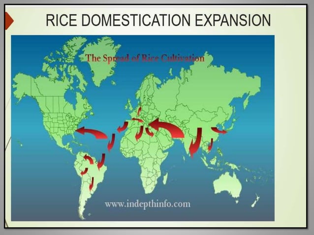 Plant Domestication and selection in plant breeding | PPTX | Gardening ...