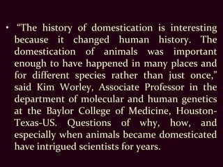 Domestication of Livestock : Veterinary and A. H. Extension 25624 | PPT