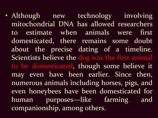 Domestication of Livestock : Veterinary and A. H. Extension 25624 | PPT