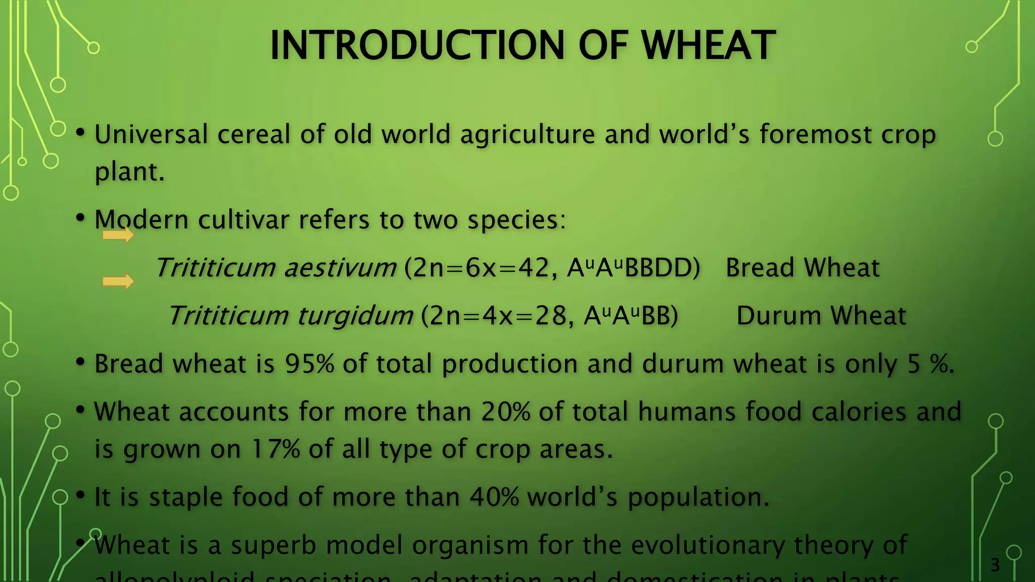 Domestication, evolution, genetics and genomics of wheat | PPTX