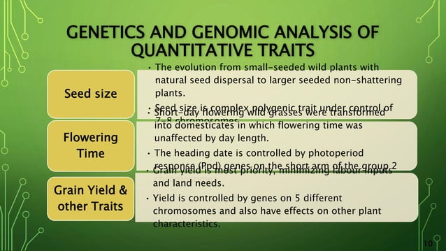 Domestication, evolution, genetics and genomics of wheat | PPTX ...
