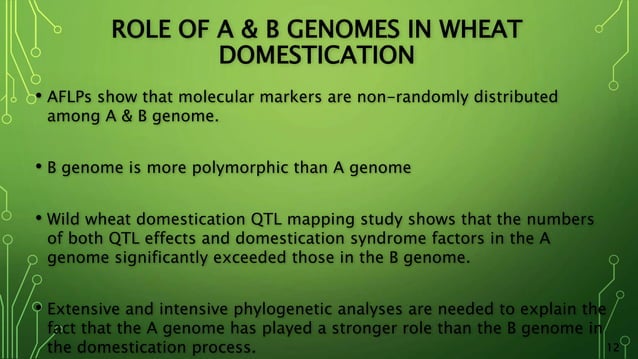 Domestication, evolution, genetics and genomics of wheat | PPTX ...