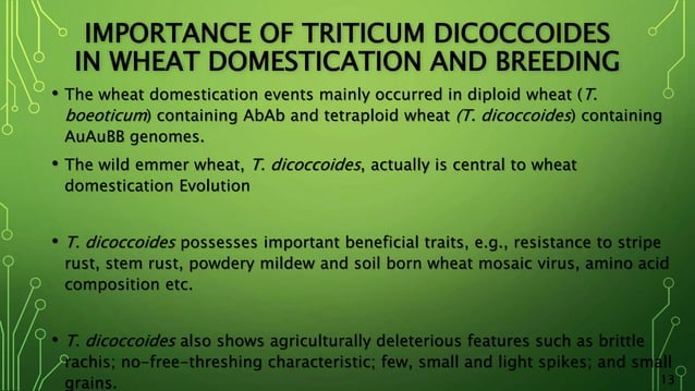 Domestication, evolution, genetics and genomics of wheat | PPTX ...