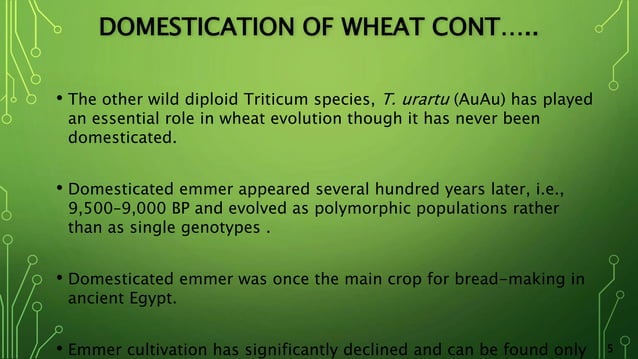 Domestication, evolution, genetics and genomics of wheat | PPTX ...
