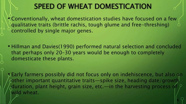 Domestication, evolution, genetics and genomics of wheat | PPTX ...