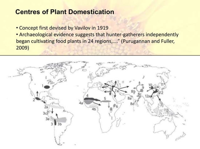 Domestication as a method of plant breeding | PPT | Agriculture ...