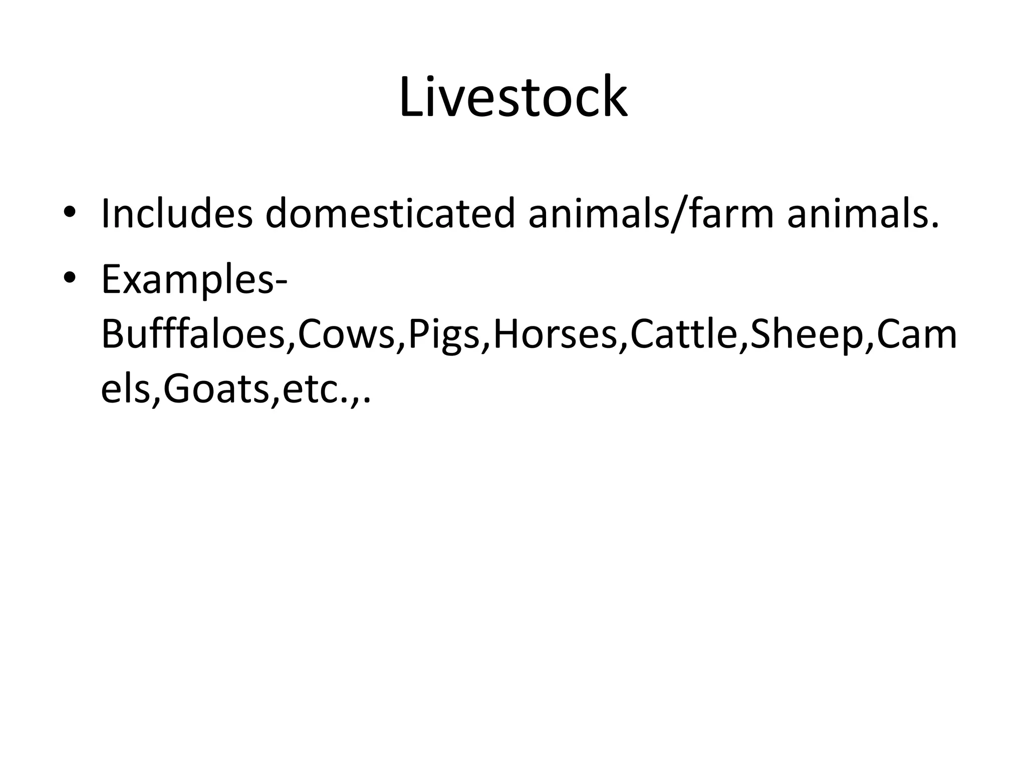 Domestication of animals..pptx